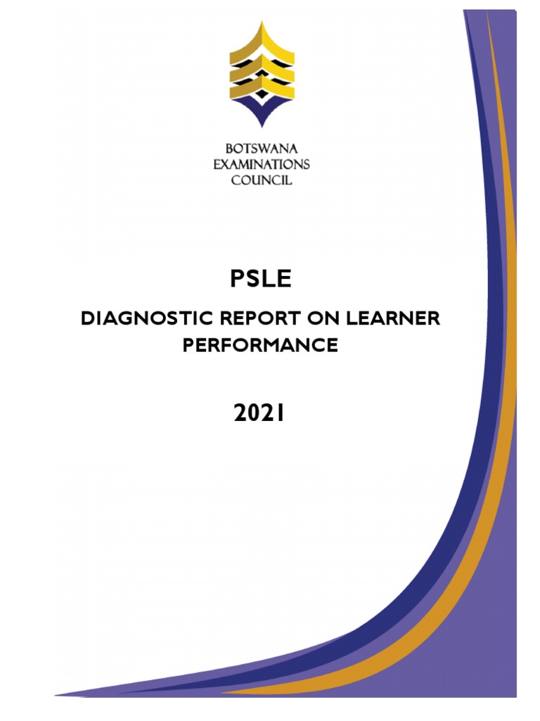 PSLE 2021 Learner Performance Report | PDF | Reading Comprehension ...