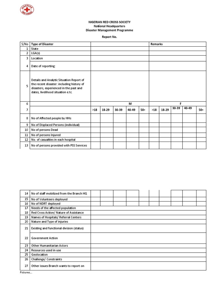 DM Incident Template Updated | PDF | Disasters | Emergency Management
