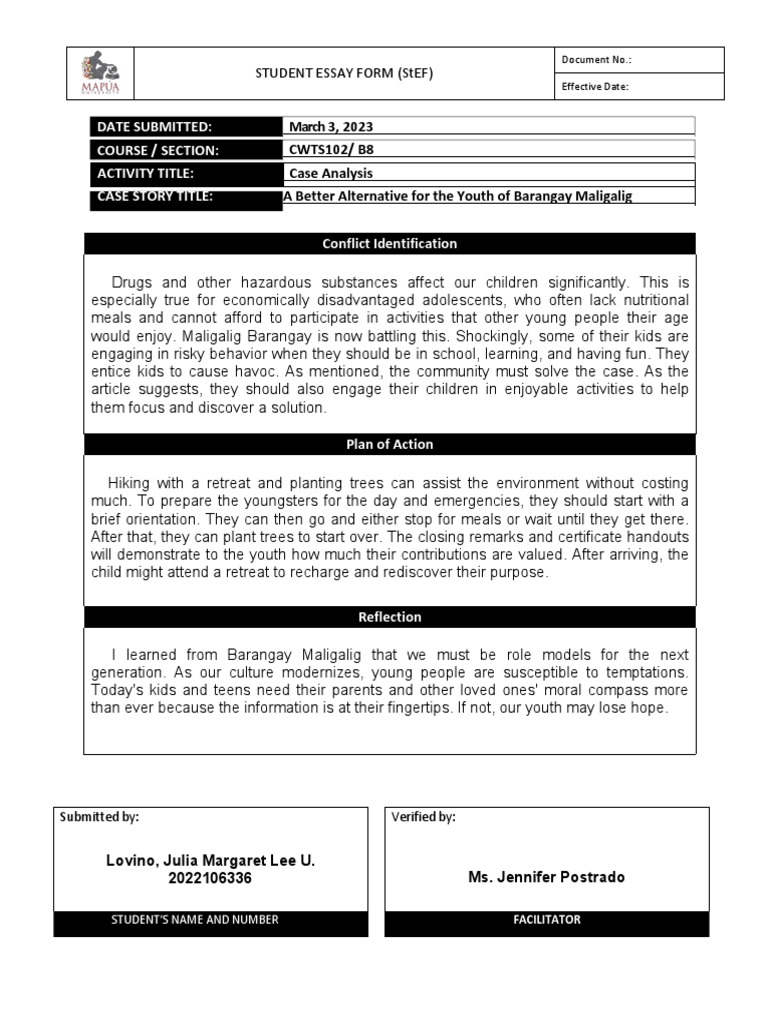 Youth Alternatives in Barangay Maligalig | PDF | Adolescence | Social ...