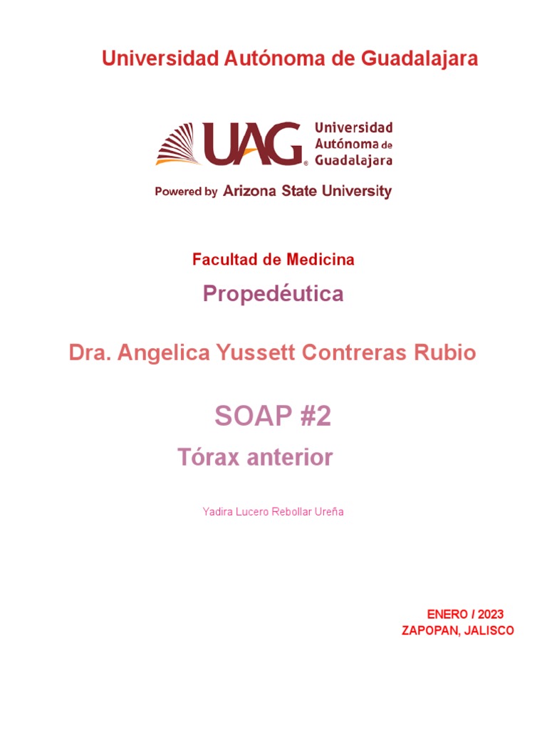 SOAP 2. Tórax Anterior | PDF | Fisiología | Cardiología