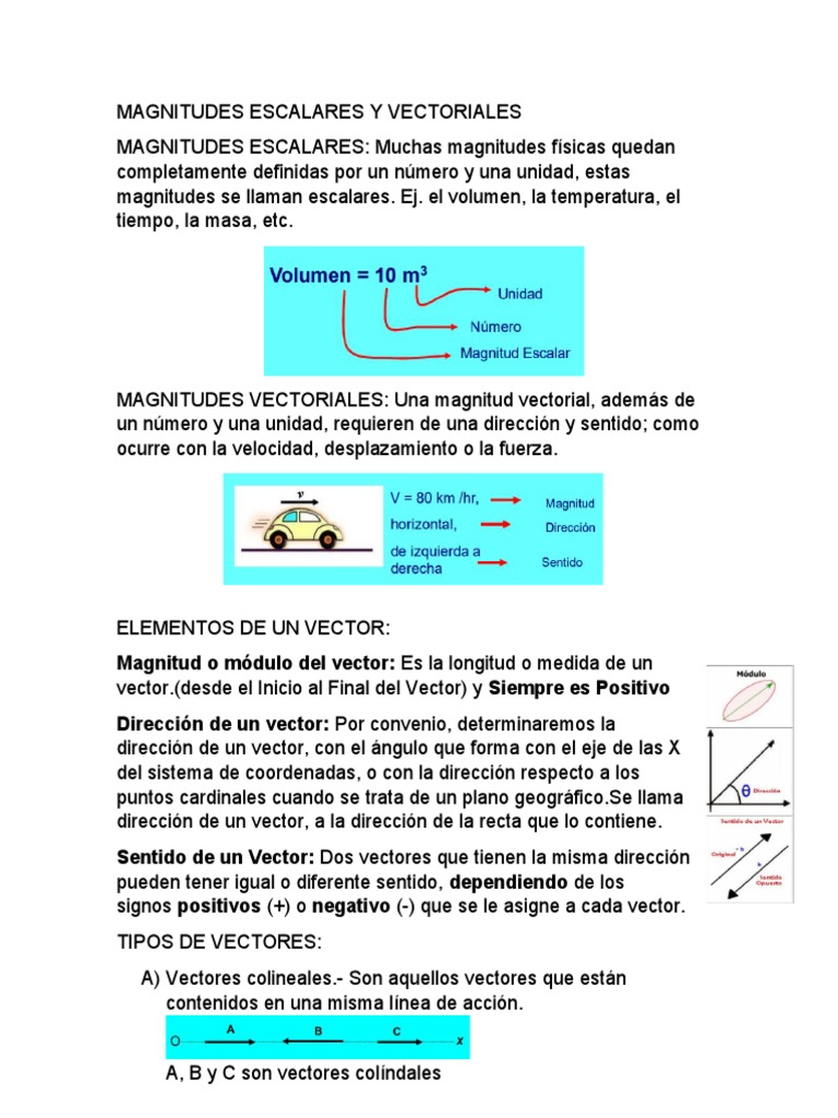 Magnitudes Escalares y Vectoriales | PDF