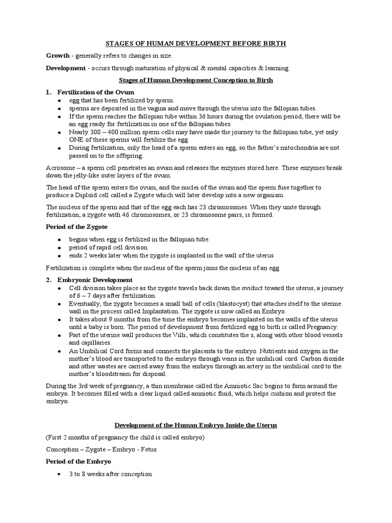 Stages of Human Development Before Birth | PDF | Fertilisation | Childbirth