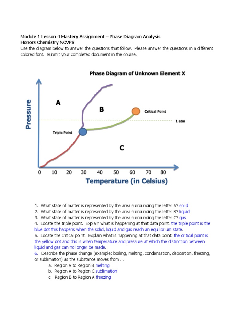 Module One Lesson Four Assignment | PDF