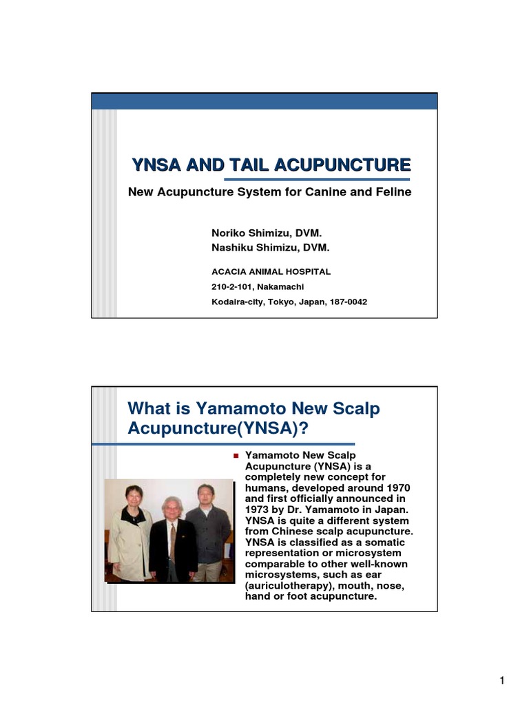 (PPT) Noriko Shimizu - Animal YNSA and Tail Acupuncture | PDF