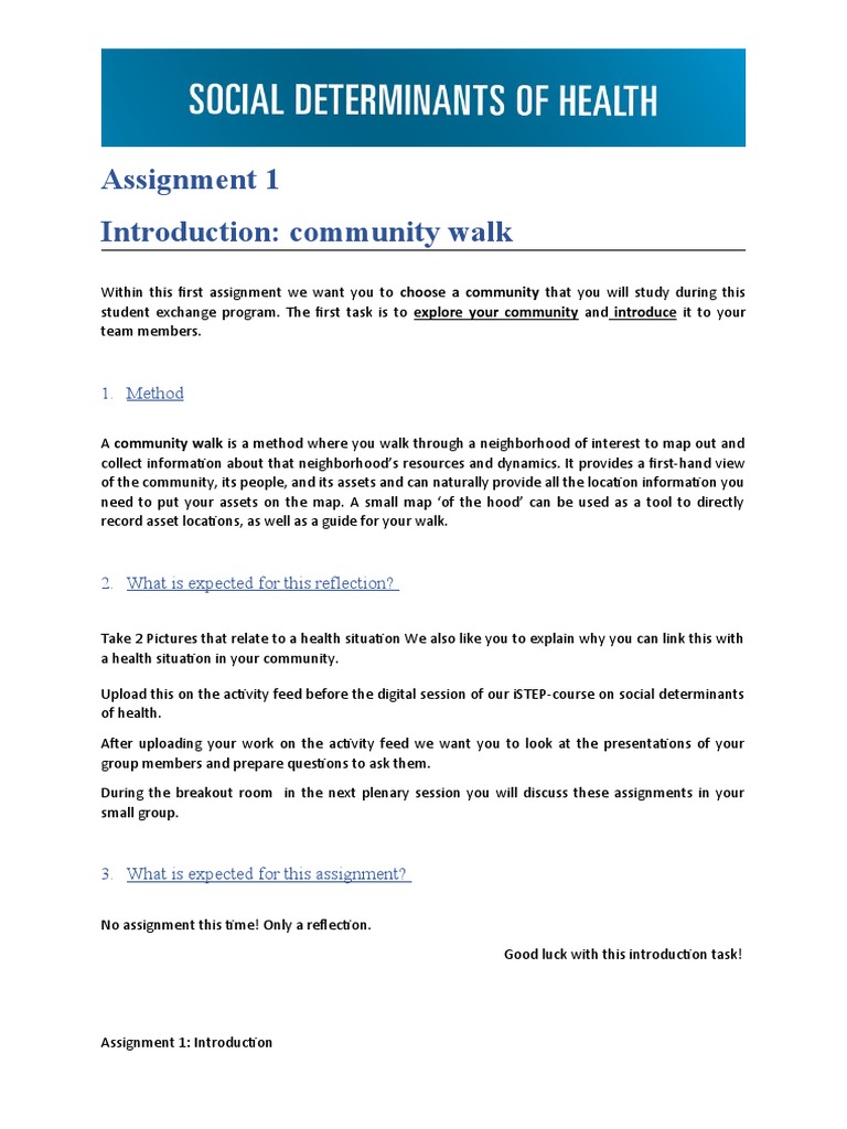 Assignment 1 Community Walk | PDF