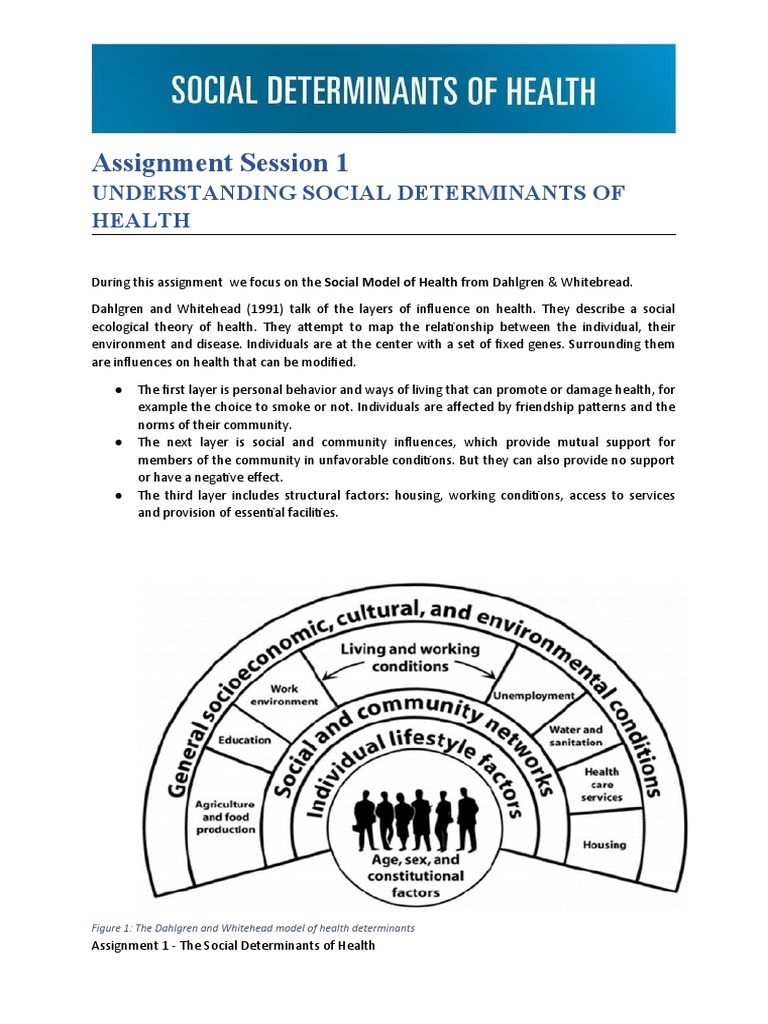 Assignment 1 - Understanding The Social Determinants of Health - Final | PDF | Community | Behavior