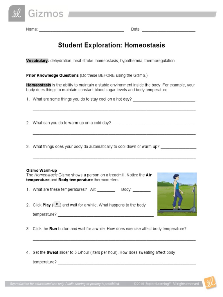Homeostasis Lab | PDF | Thermoregulation | Homeostasis