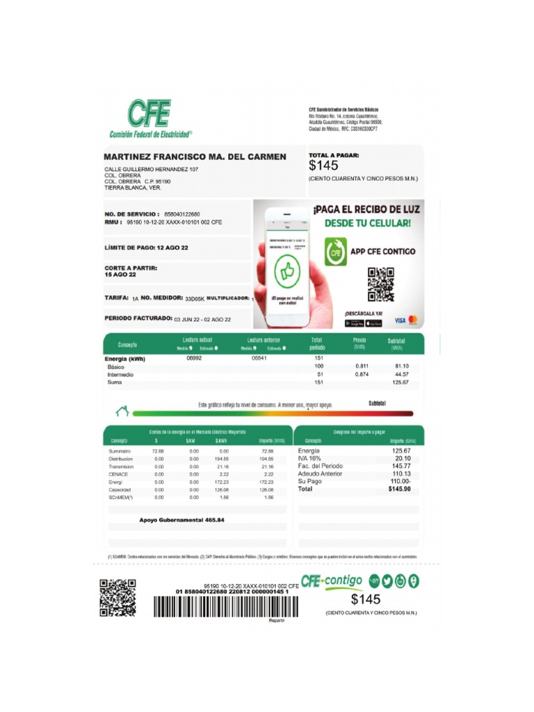 Recibo Cfe Carmen | PDF