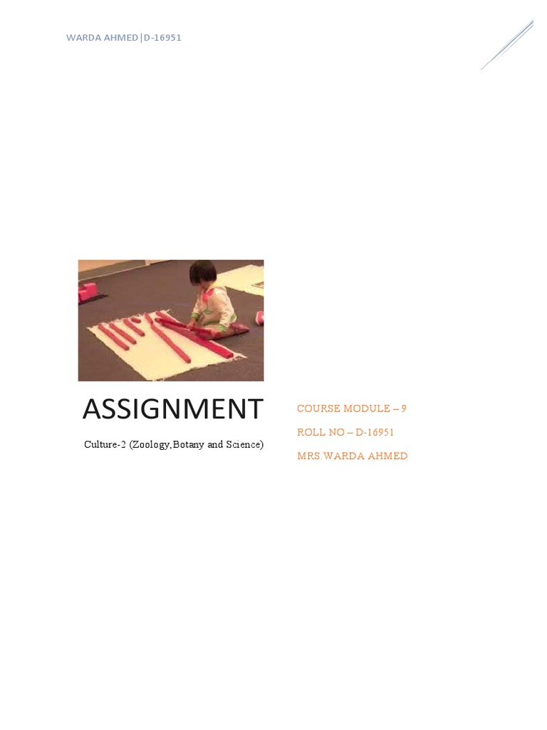 Mod 9 Assignment | PDF | Vertebral Column | Reptile