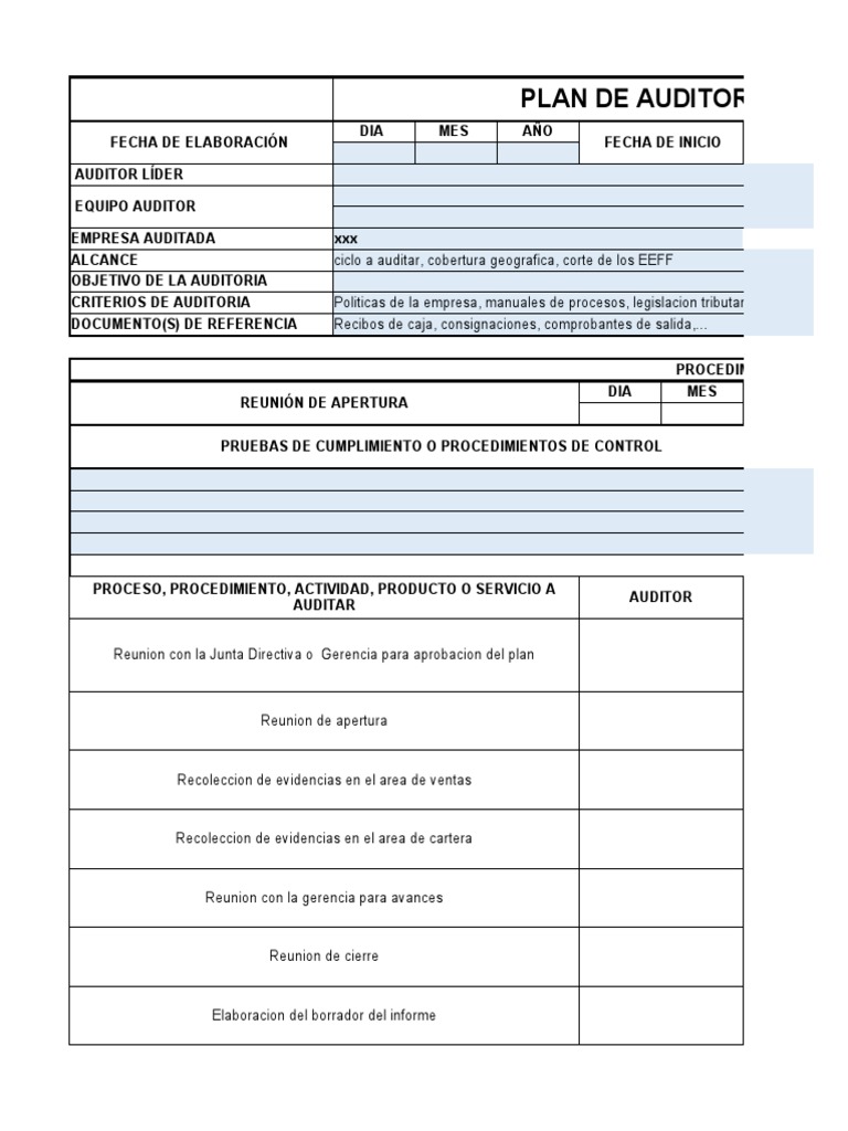 Modelo de Plan y Programa | PDF | Auditoría | Economias