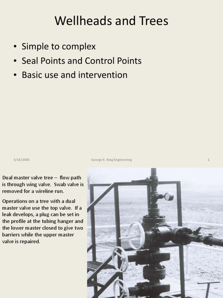 Wellhead Basics | PDF | Casing (Borehole) | Pipe (Fluid Conveyance)