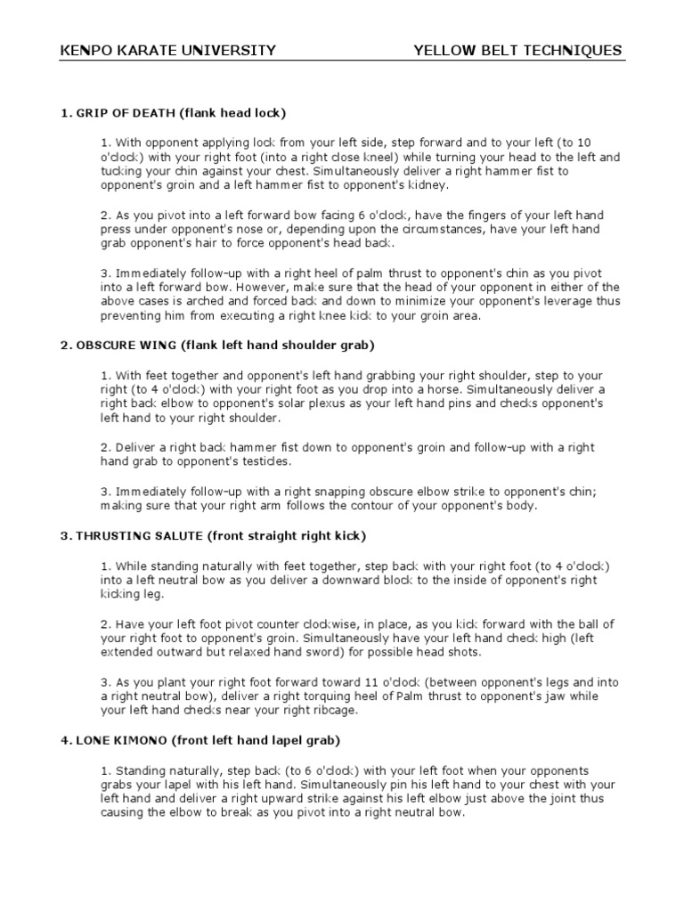 Yellow Belt Techniques | PDF