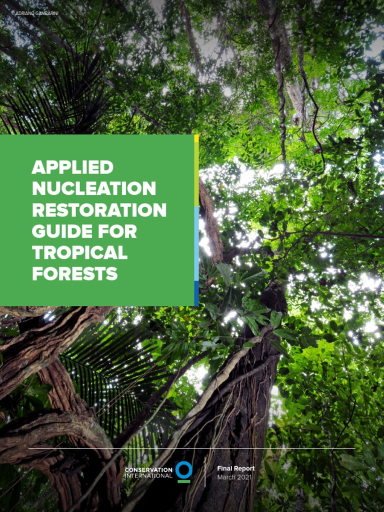 Applied Nucleation Full Report Final | PDF | Restoration Ecology | Forests