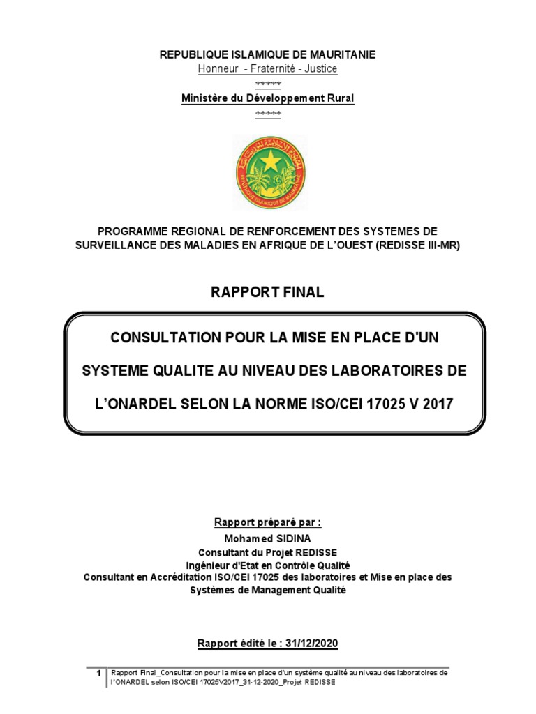 Rapport Final Consultation - REDISSE - ONARDEL | Descargar gratis PDF | Audit | Consultant