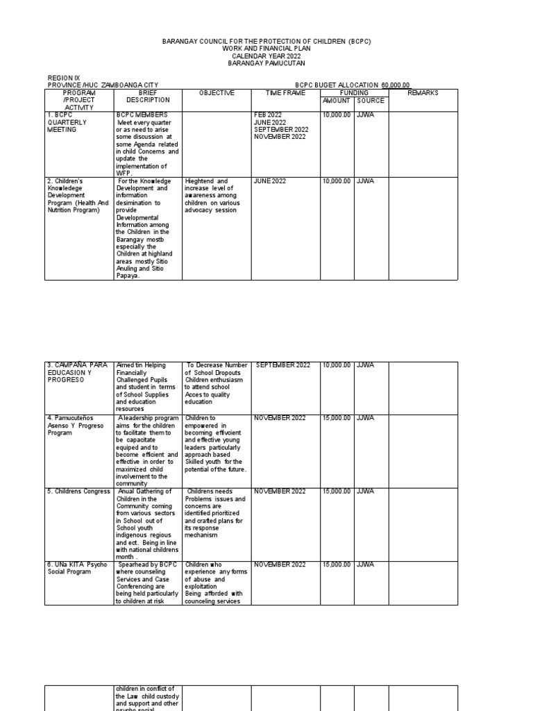 Plan Anual Work and Financial Plan | PDF