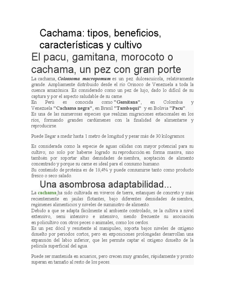 Cachama: cultivo y beneficios nutricionales | PDF | Agua | Carne