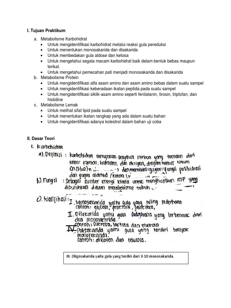 Praktikum Metabolisme Karbohidrat, Protein, Lemak | PDF | Kesehatan ...