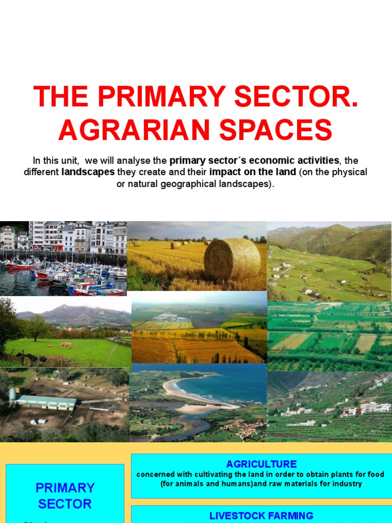The Primary Sector. Agrarian Spaces 2 | PDF | Agriculture | Soil