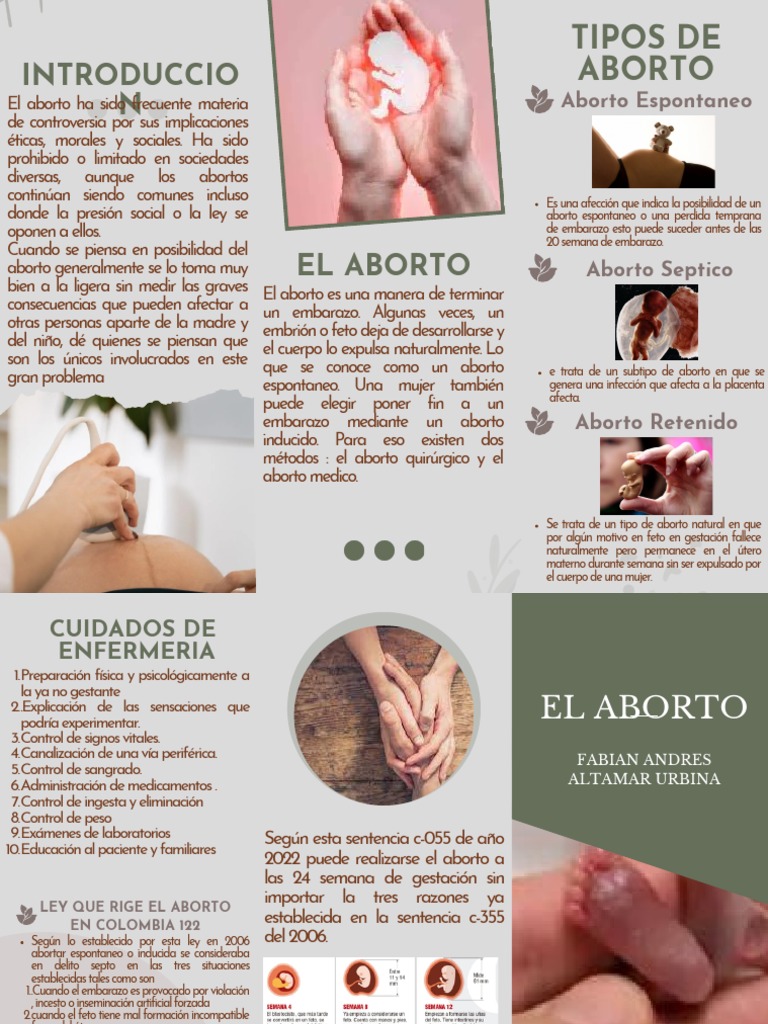 El Aborto | PDF | Aborto | El embarazo
