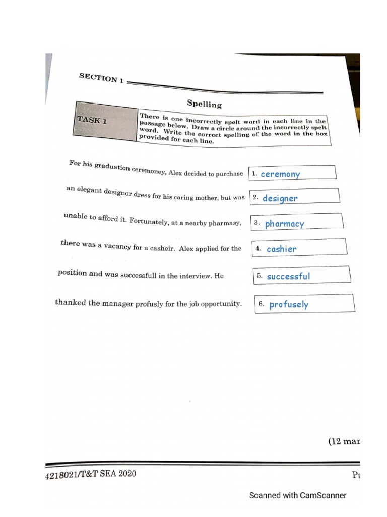 Sea 2020 Ela - Answers | PDF