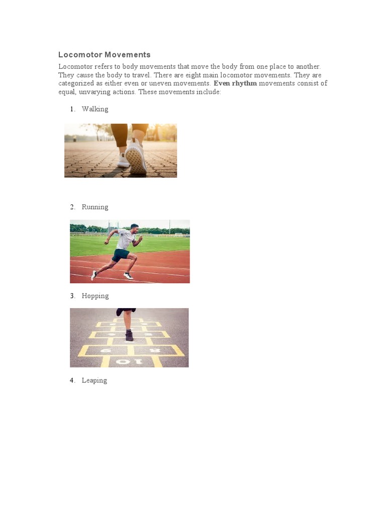 Locomotor Movements & Non-Locomotor Movements | PDF | Animal Locomotion