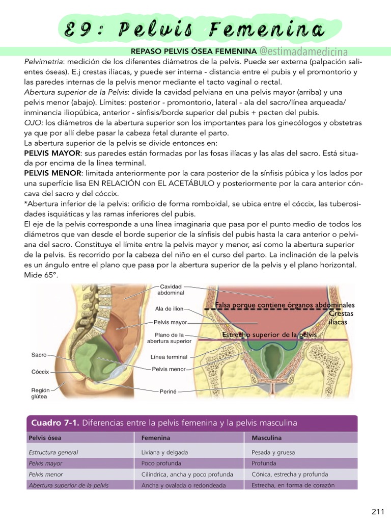 TP9 Esplacno | PDF | Pelvis | Vagina