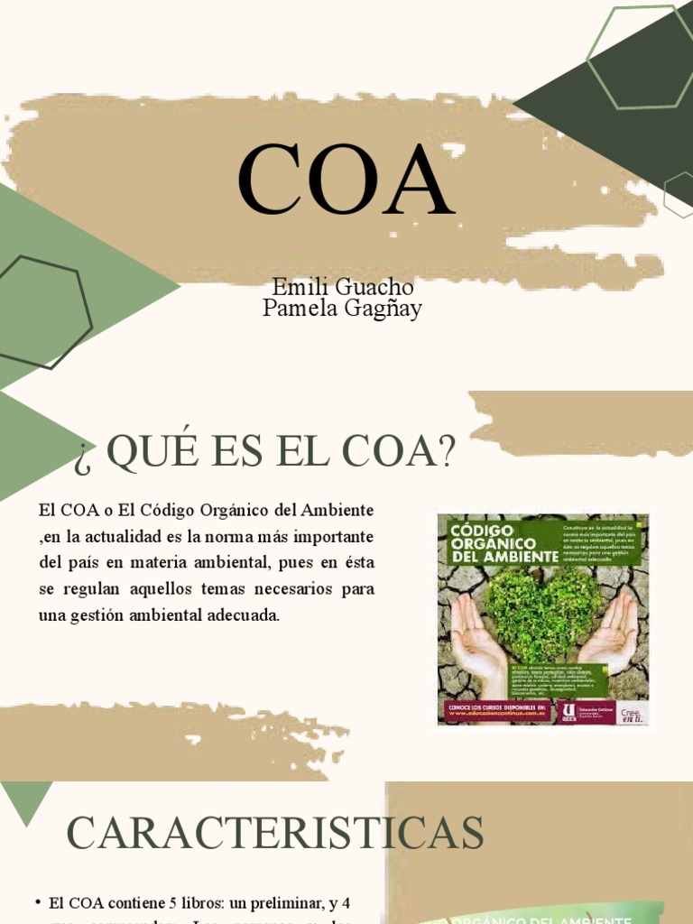 Que Es El COA | PDF | Derecho