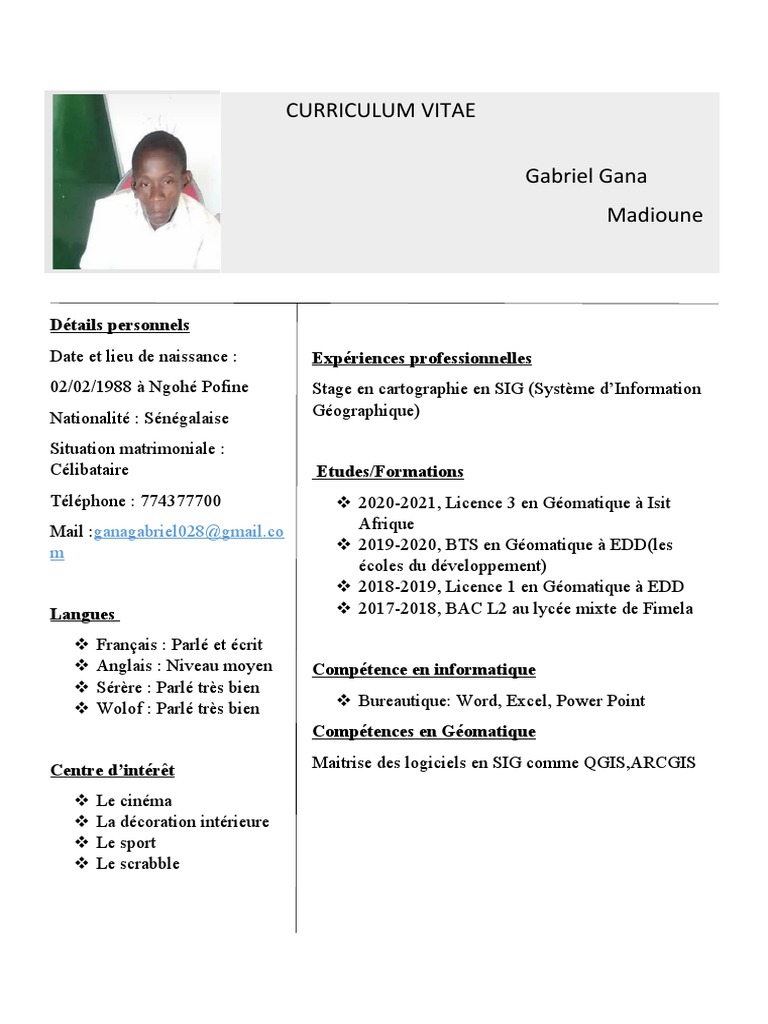 Gab CV | PDF