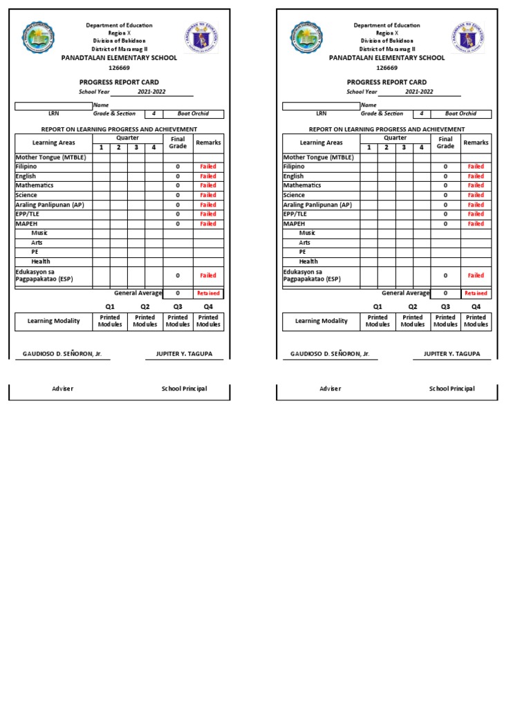 Grade 4 Progress Report Card Formulated | Download Free PDF | Social ...