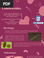 Enterobius vermicularis: Ciclo y Tratamiento | PDF | Epidemiología ...