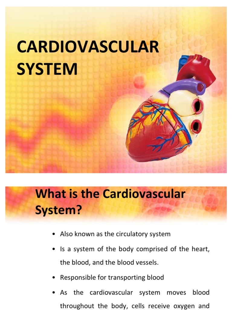 Cardiovascular System | Heart | Circulatory System | Free 30-day Trial ...