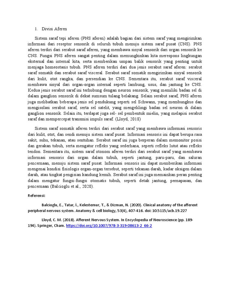 Divisi Aferen & Eferen | PDF