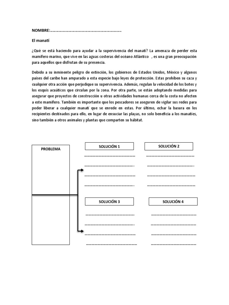 Lectura Causa Efecto Solución | PDF