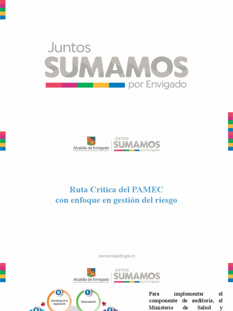 Presentación Pamec- Gestión Del Riesgo | PDF | Riesgo | Calidad (comercial)