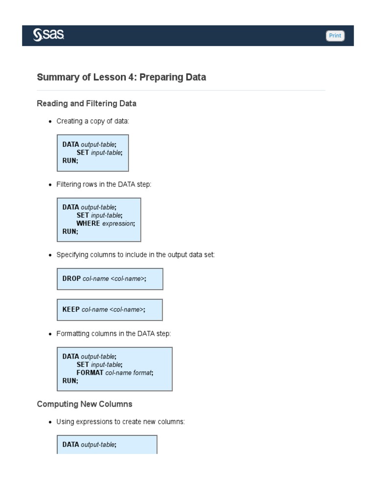 Summary of Lesson 4 - Preparing Data | PDF | Parameter (Computer Programming) | Computer Programming