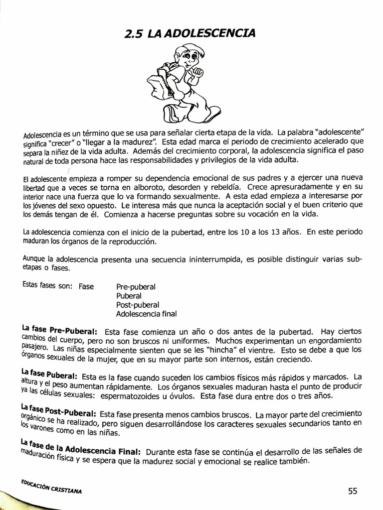 Etapas y Cambios en la Adolescencia | PDF | Adolescencia | Pubertad