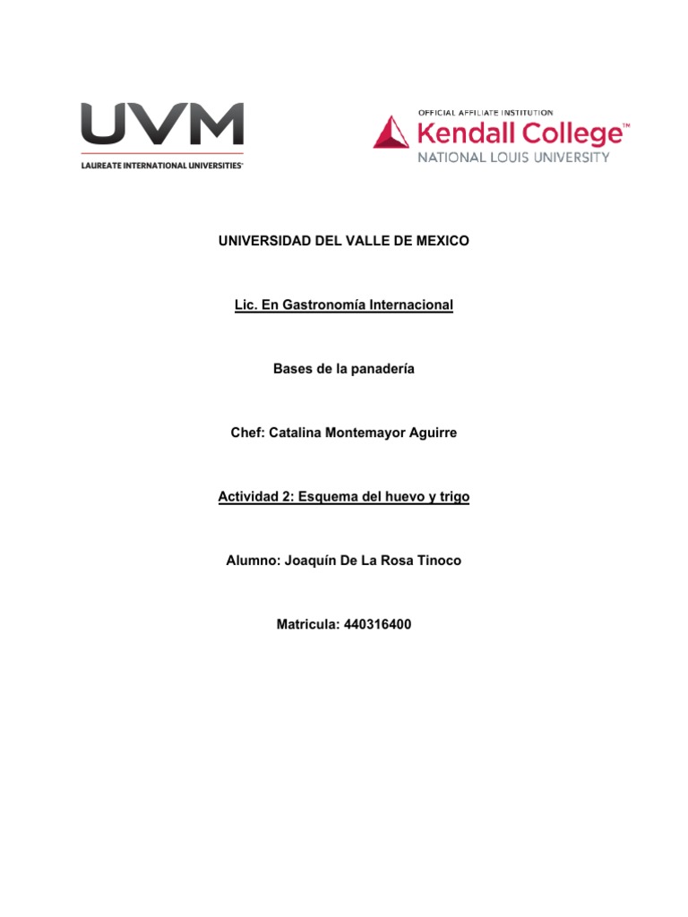 Esquema del Huevo y Trigo en Gastronomía | PDF | Huevo como alimento ...