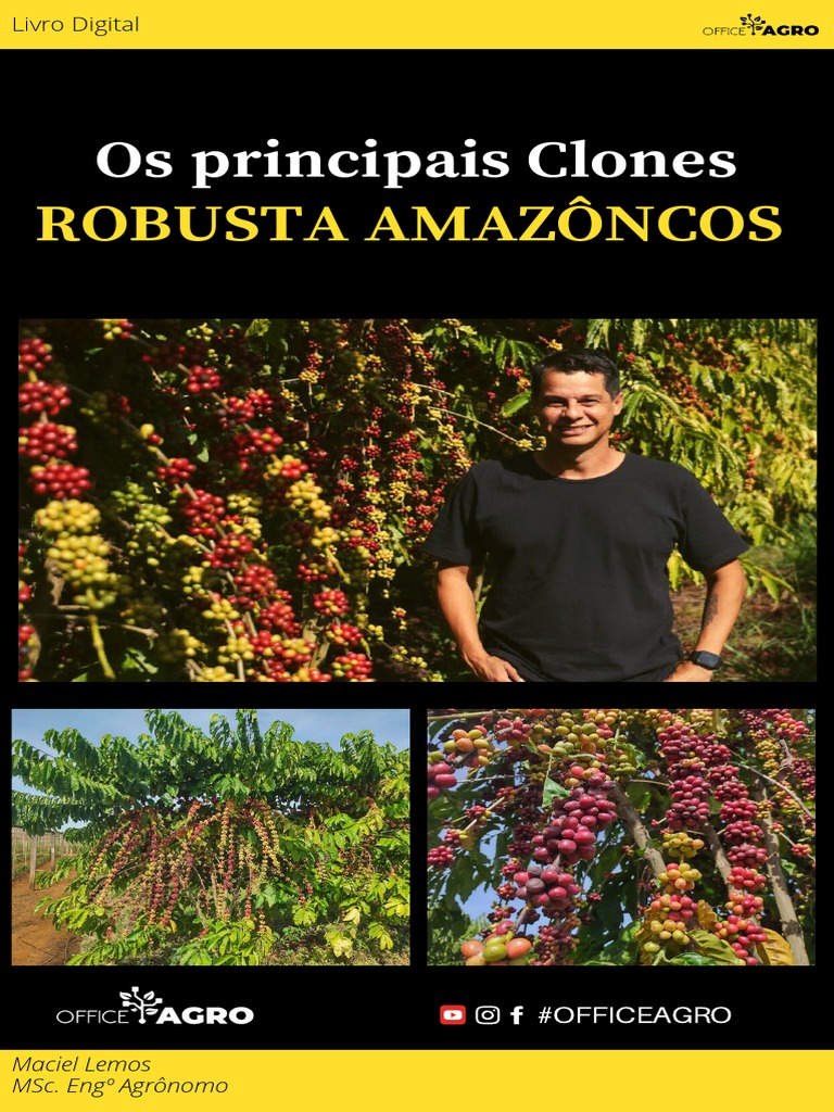 E-Book - Os Principais Clones ROBUSTA AMAZÔNCOS | PDF | Café | Agronomia
