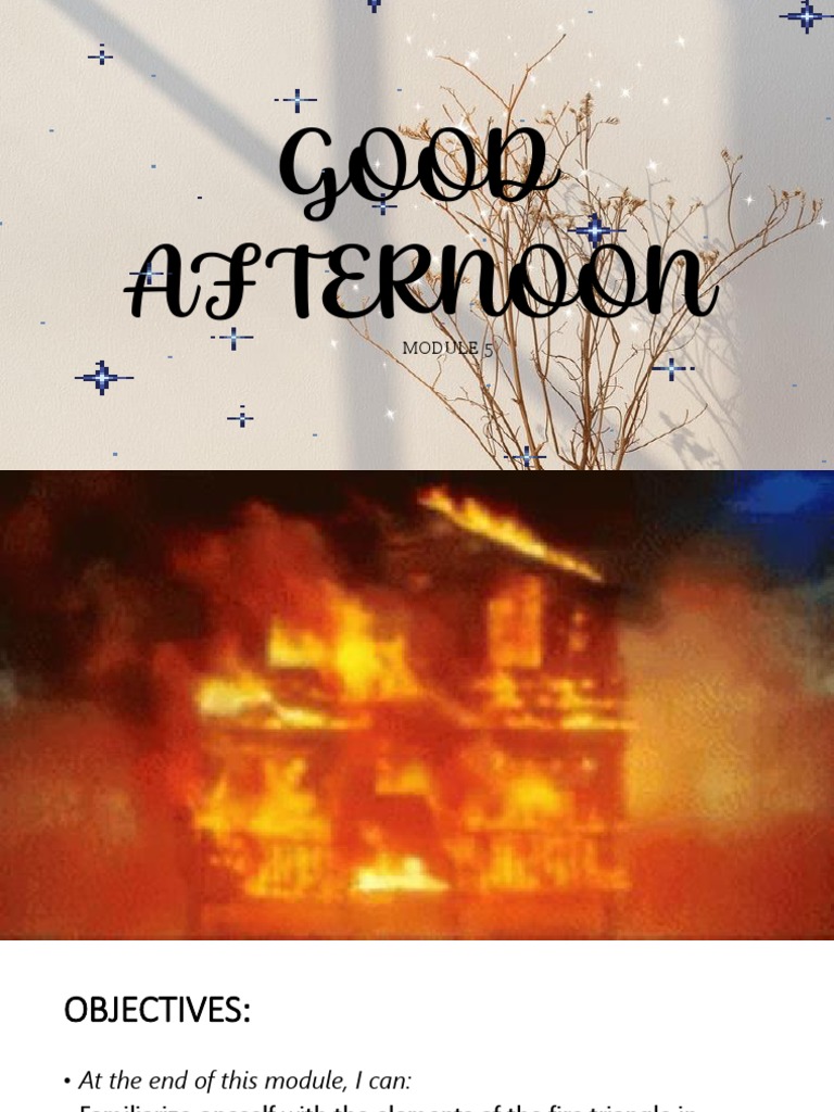 DRRR Module 6 Fire | PDF | Fires | Burn