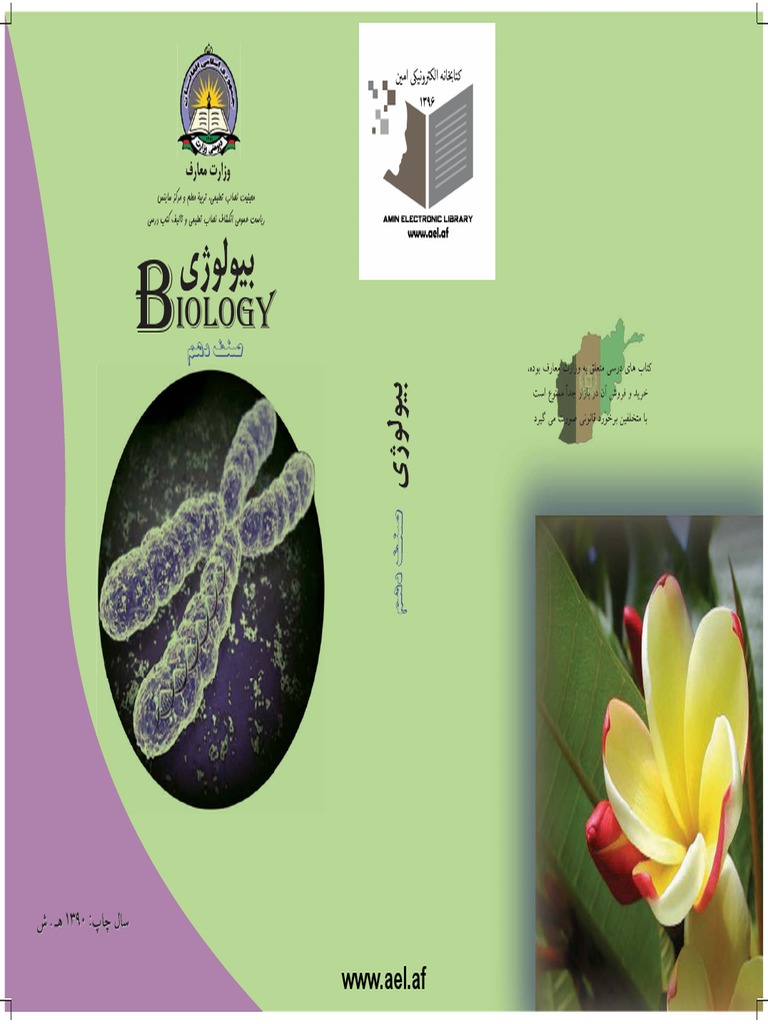 G10 DR Biology | PDF