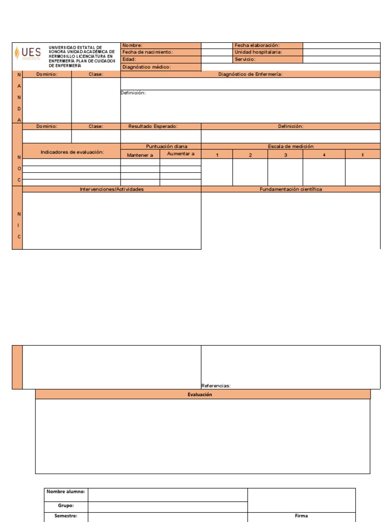 Formato Plan de Cuidados UES | PDF