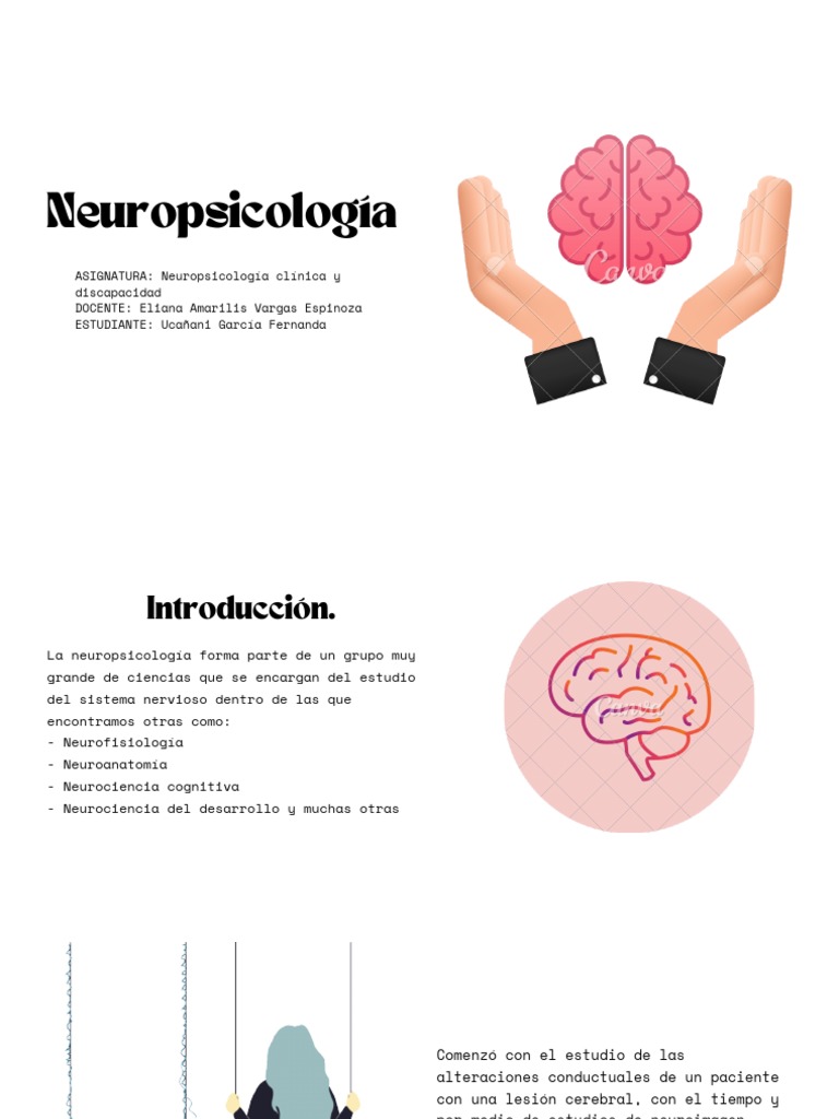 Resumen Video Neuropsicología | PDF