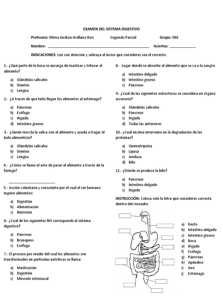 Examen Del Sistema Digestivo | PDF | Sistema digestivo humano | Digestión