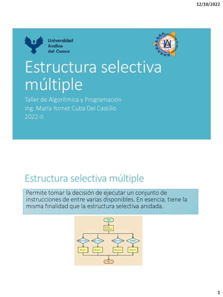 Estructura Selectiva Múltiple | PDF | Algoritmos | Variable (informática)
