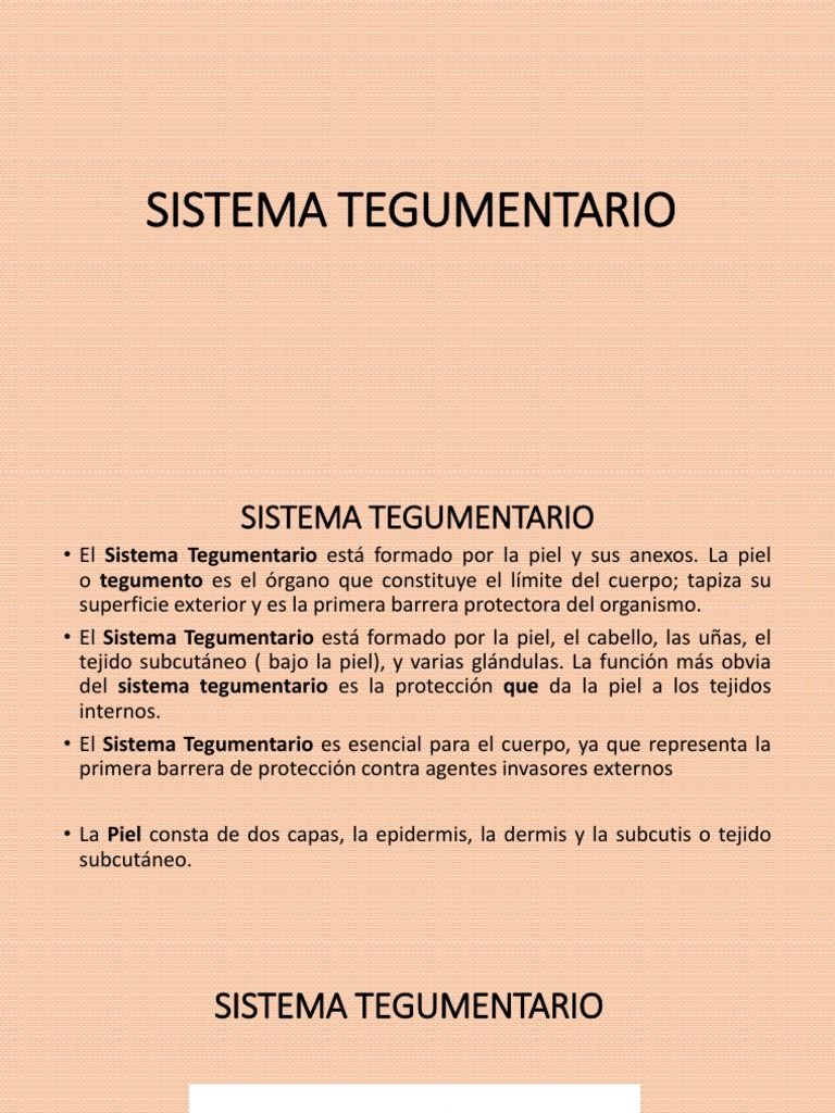 El sistema tegumentario: estructura y funciones de la piel y sus anexos | PDF | Sistema ...