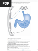 Signos de Exploración Abdominal | PDF | Abdomen | Medicina CLINICA