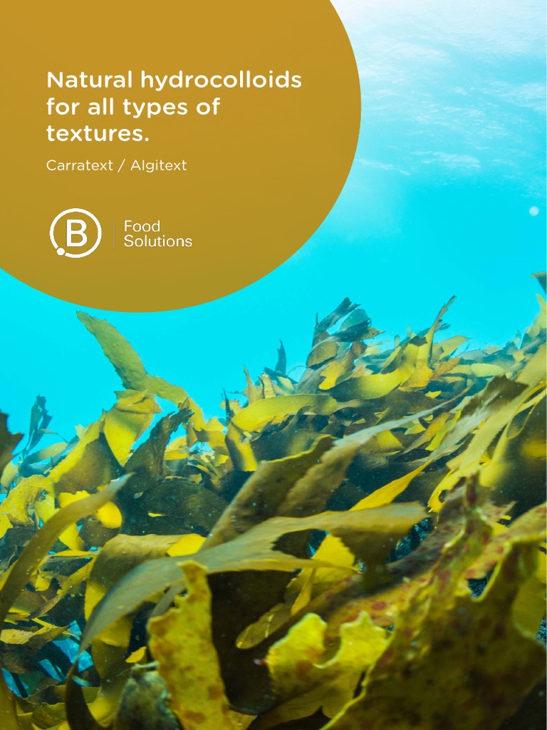 Natural Hydrocolloids For All Types of Textures | PDF | Nutrition ...