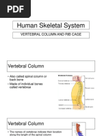 Animal Classification Charts | PDF | Invertebrate | Egg