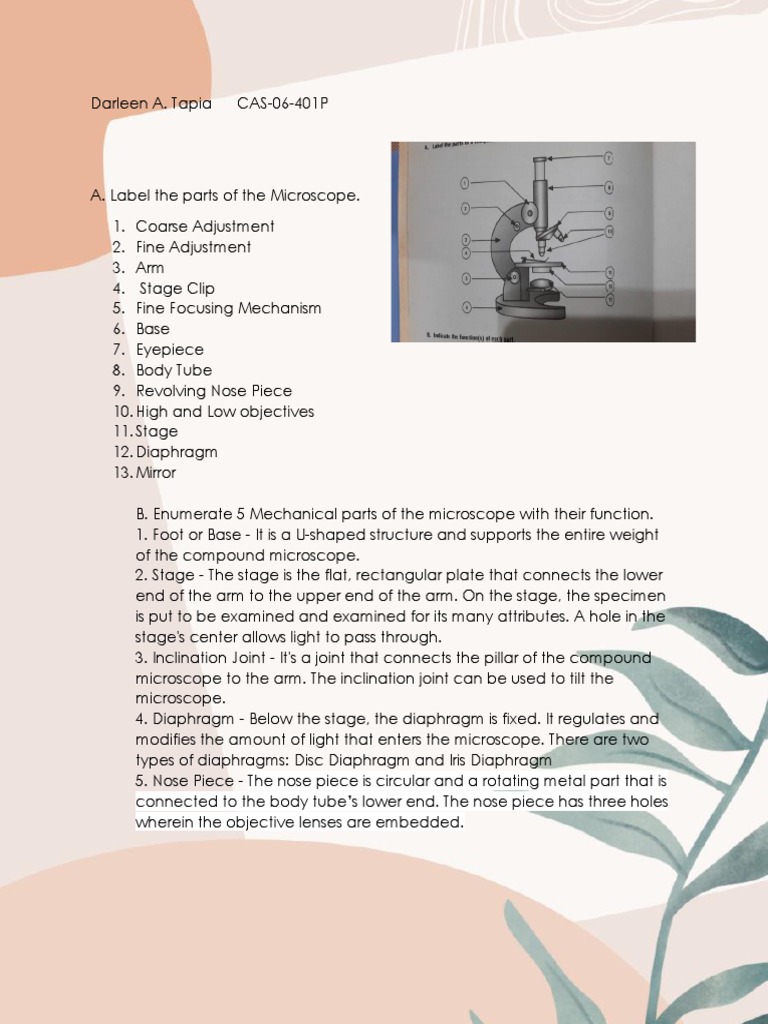 Tapia, Darleen A. - Act#1 - Microscope | PDF