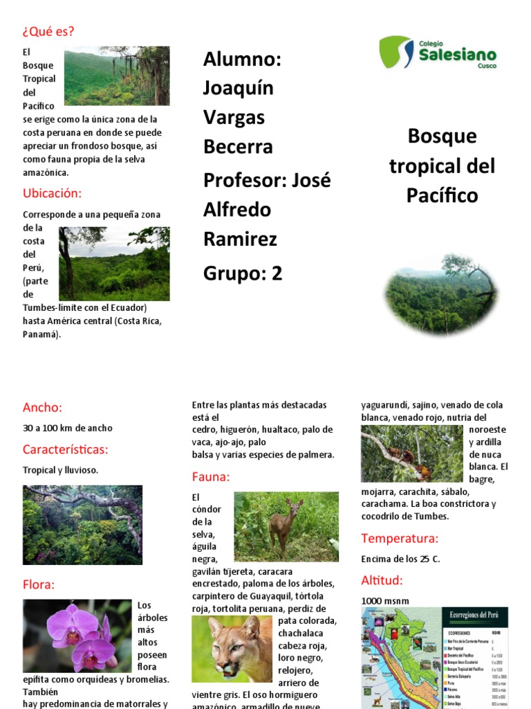 Bosque Tropical Del Pacífico | PDF